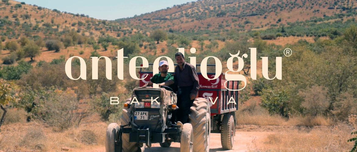 Anteplioglu | Authentisches Baklava & Türkische Süßigkeiten kaufen ...